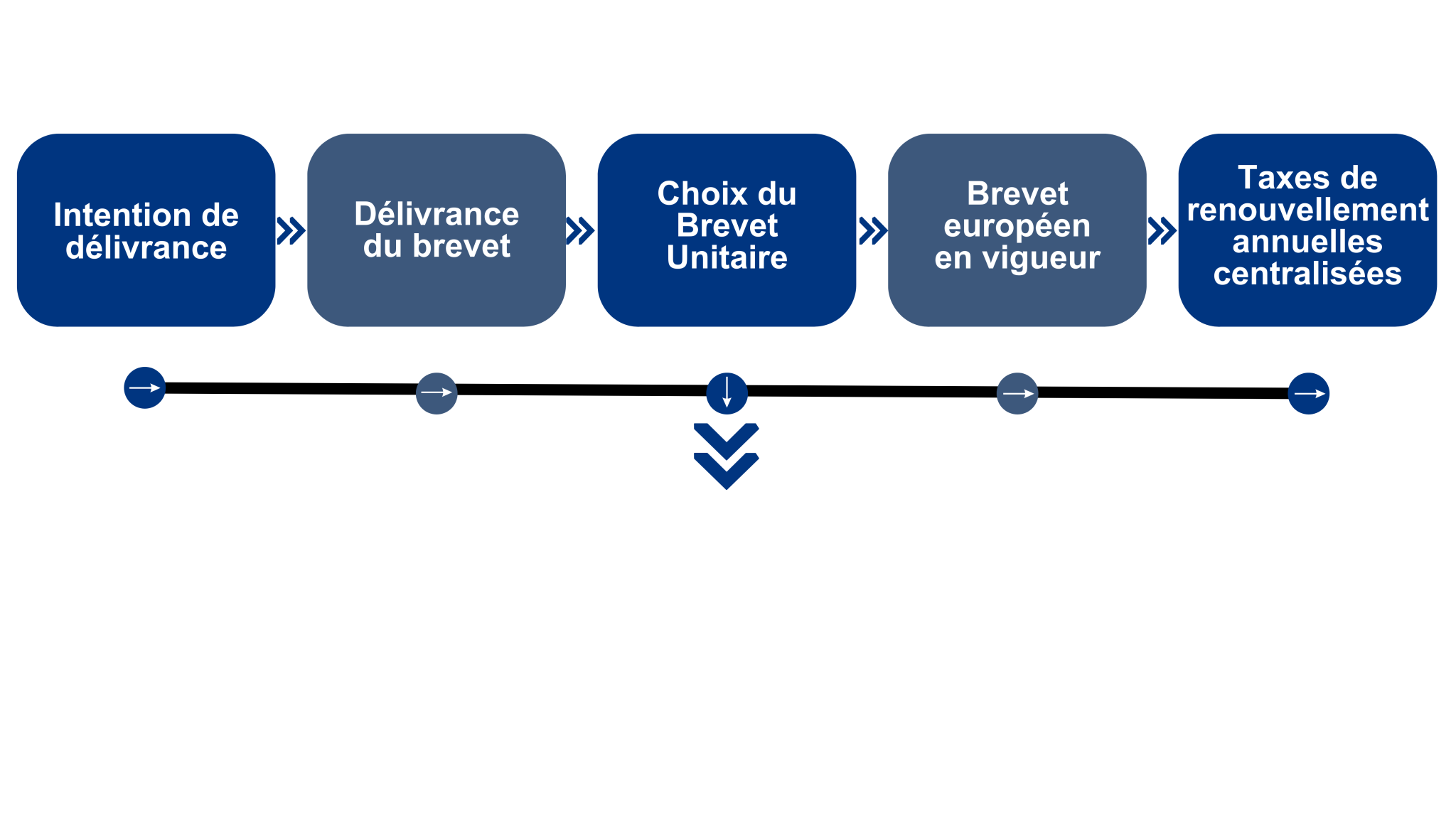 Brevet Unitaire et JUB - Hautier IP